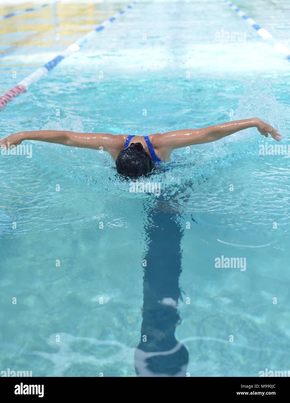 Woman swimming butterfly, Kokoda swimming pool, Townsville, Queensland ...