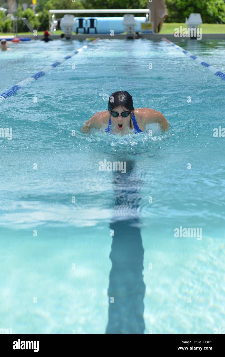 Woman swimming butterfly, Kokoda swimming pool, Townsville, Queensland ...