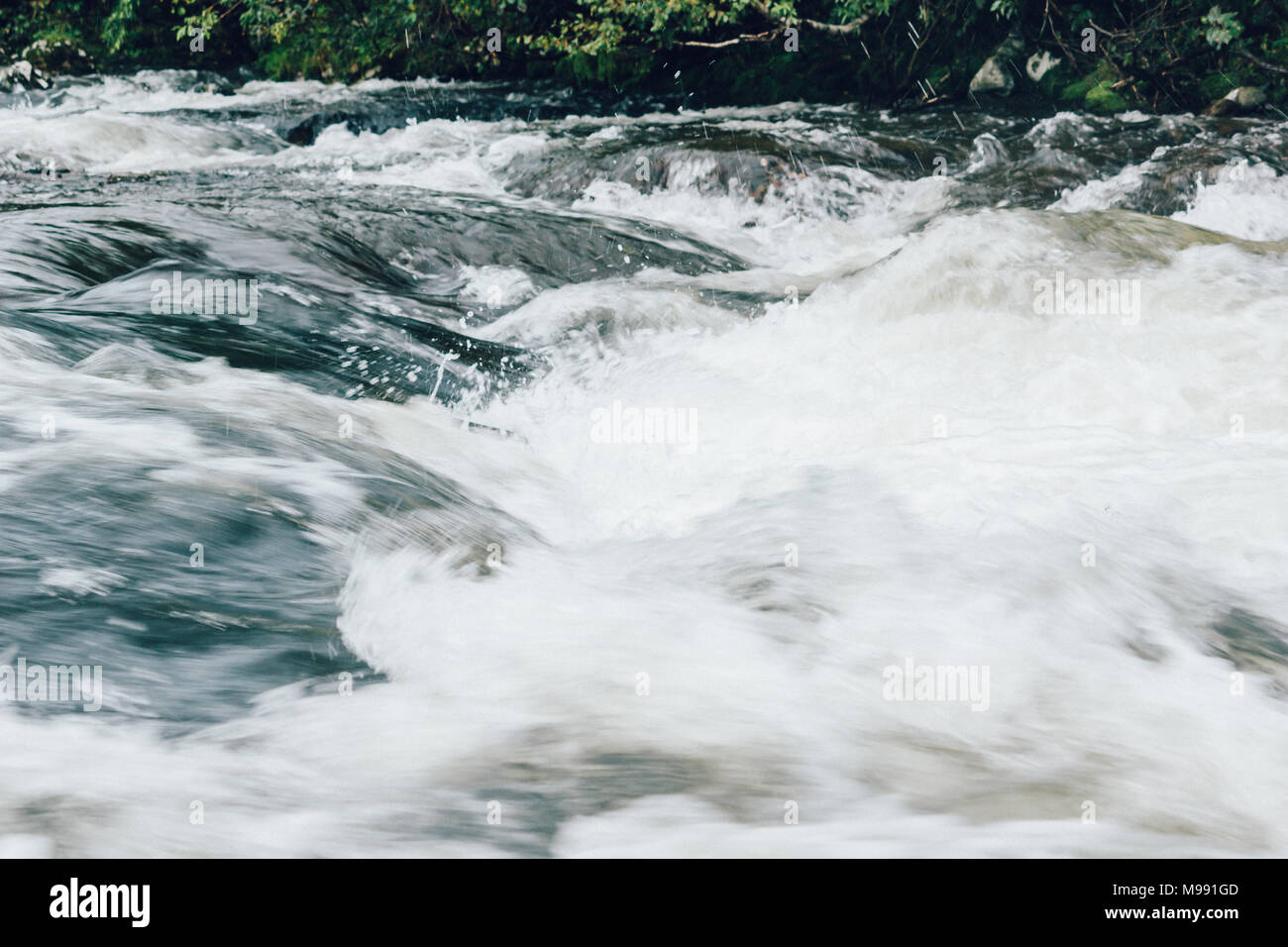 A powerful stream of mountain river. The fast current of water Stock ...