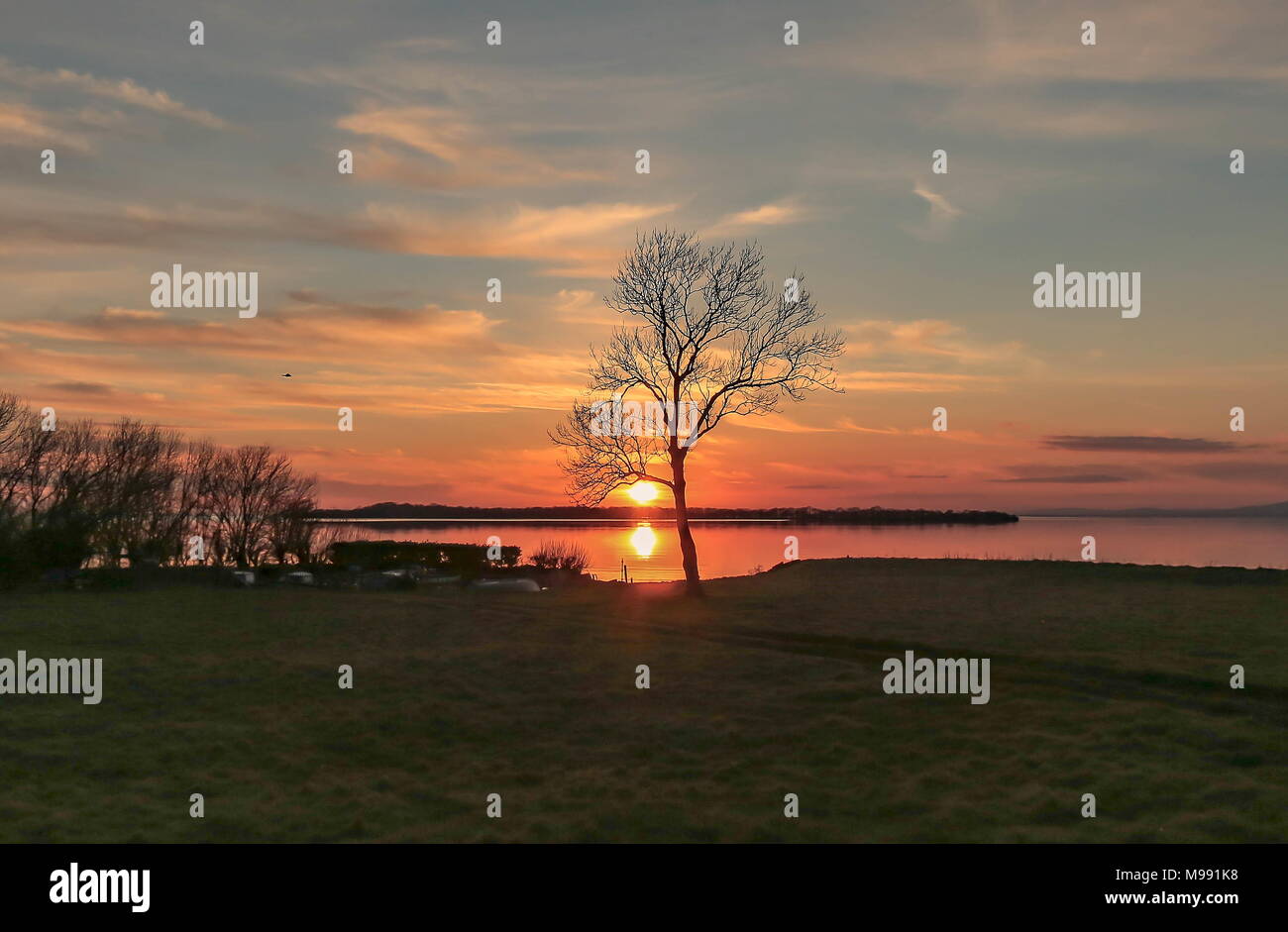 Rams island ireland hi-res stock photography and images - Alamy
