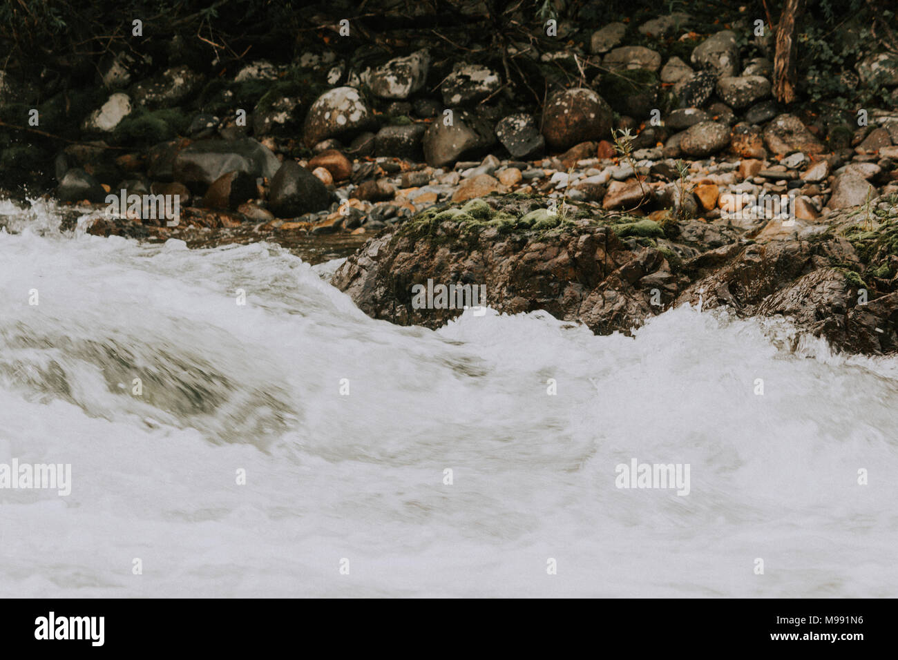 A powerful stream of mountain river. The fast current of water Stock ...