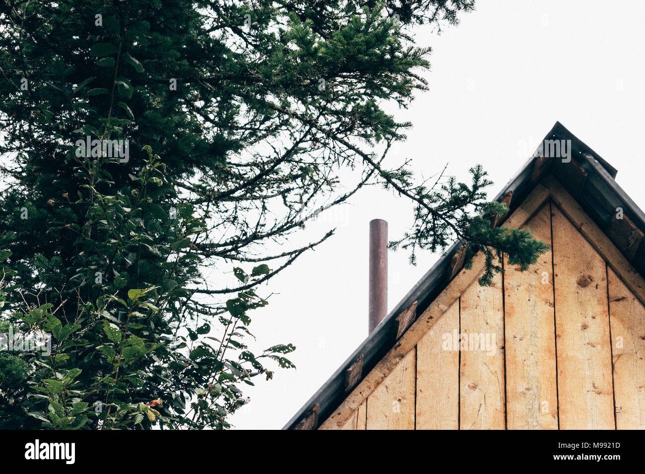 Wooden travel house with a pipe in a summer forest Stock Photo - Alamy