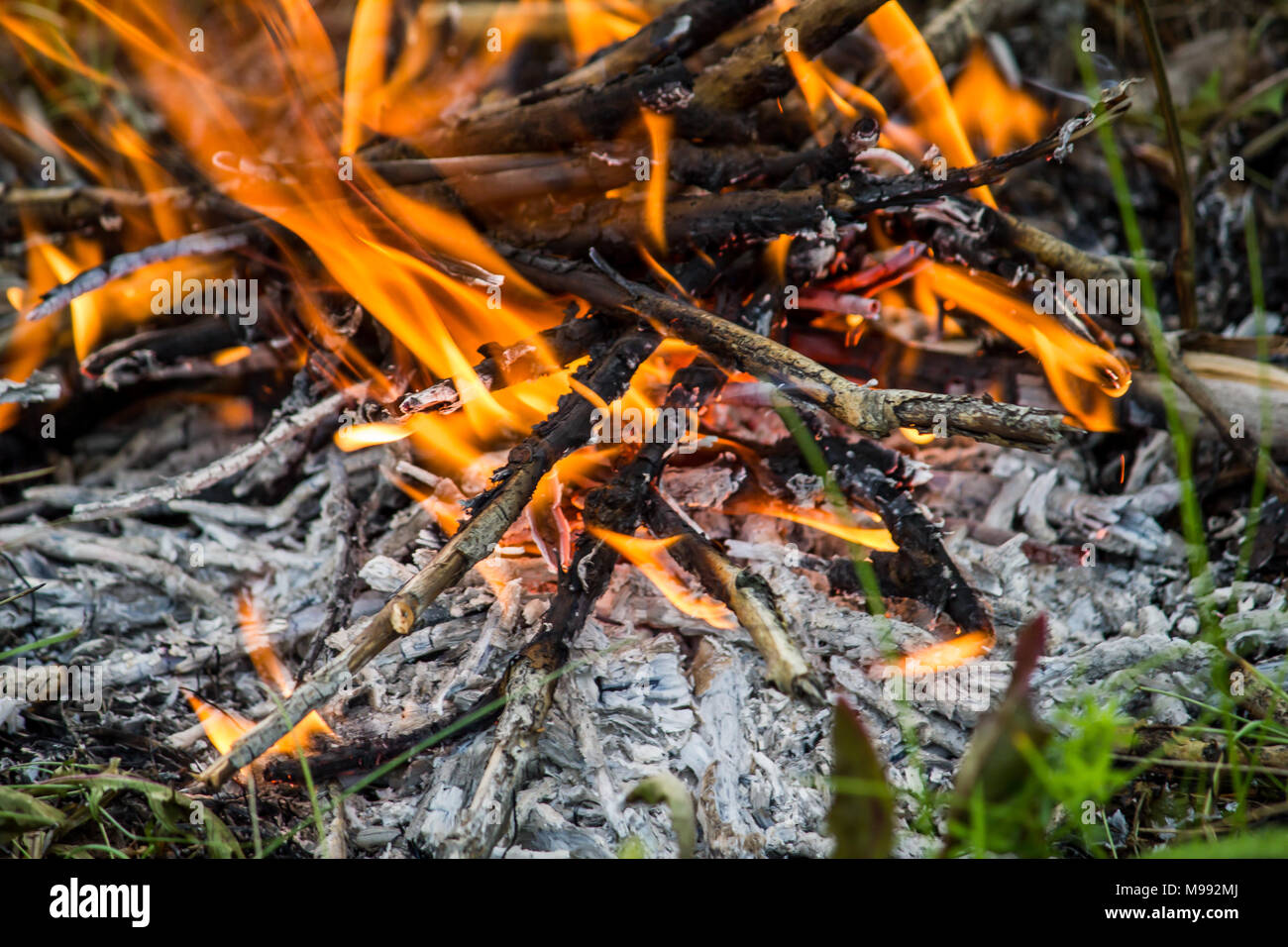 The flames of the fire in the grass. Wildfire. Summer picnic, barbecue ...