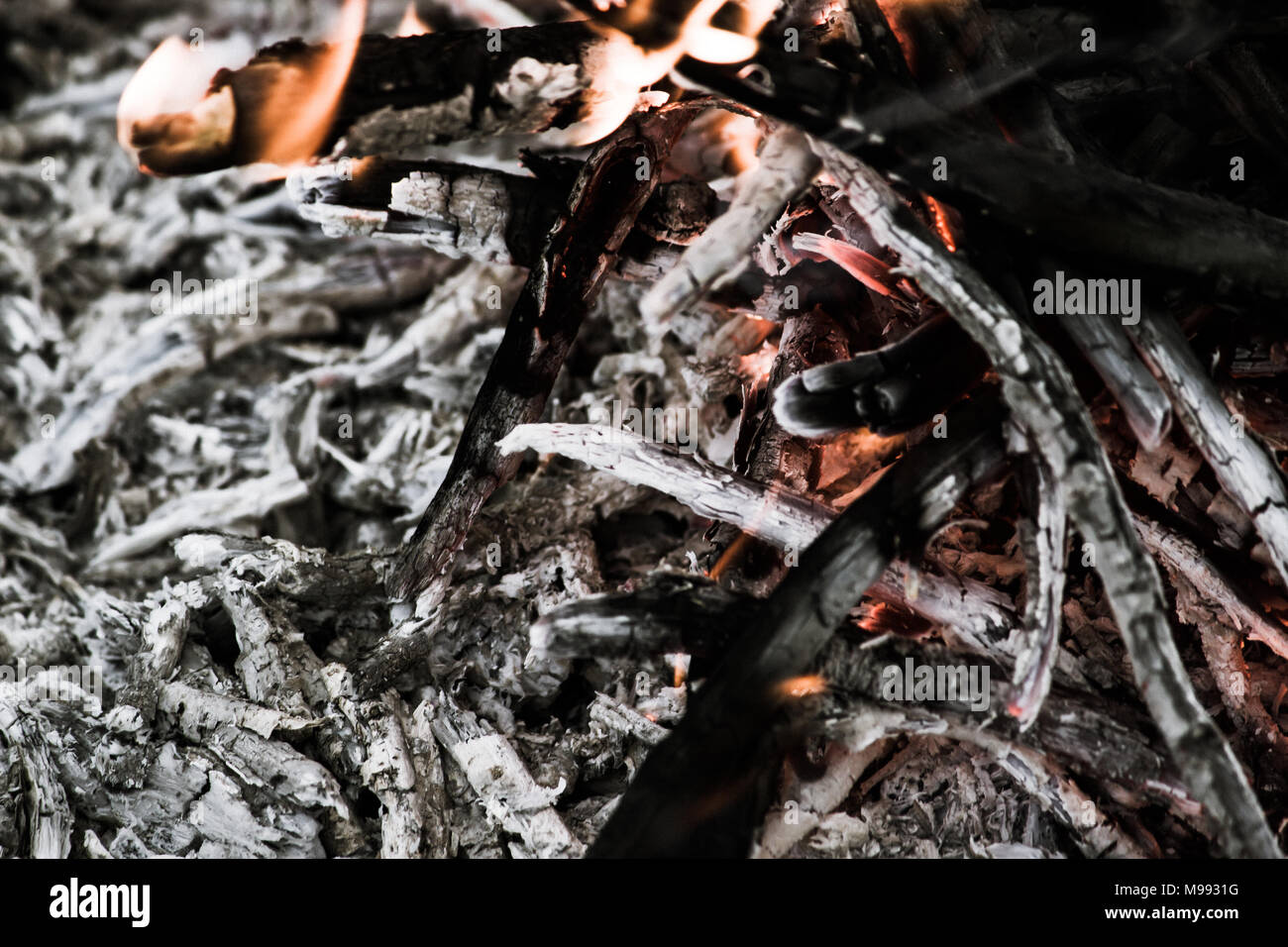 Embers of a burnt-out fire. A fire in the woods, barbecue Stock Photo ...