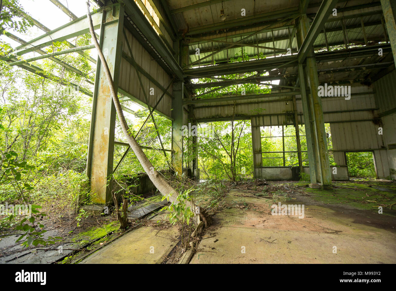 Apoera train station in Suriname, near the Courantayne River which was ...