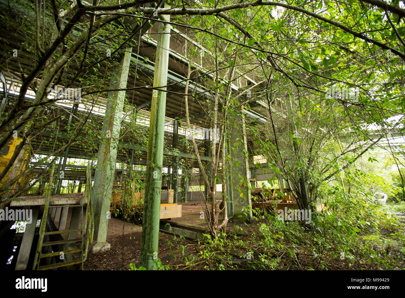 Apoera train station in Suriname, near the Courantayne River which was ...