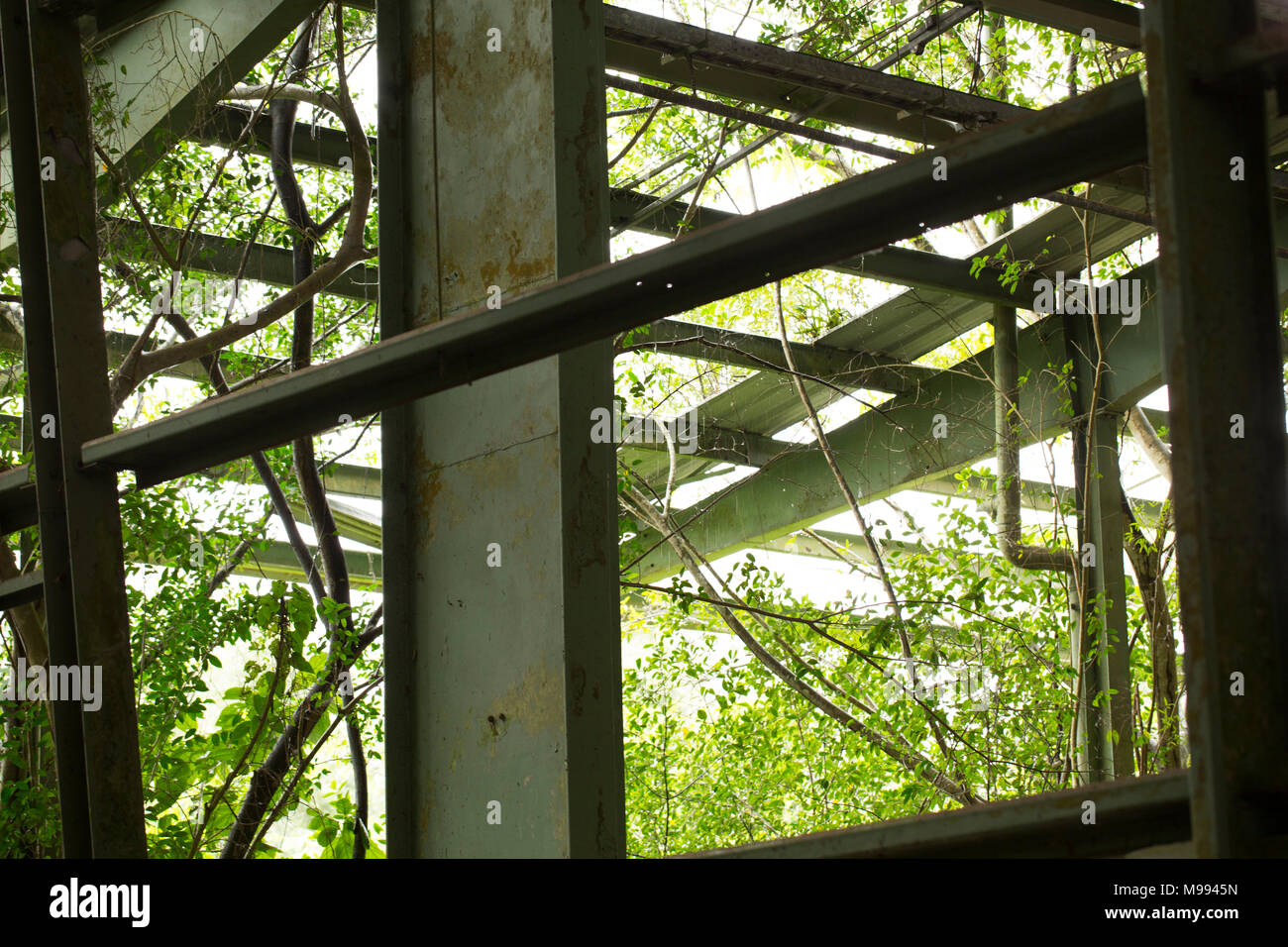 Apoera train station in Suriname, near the Courantayne River which was ...