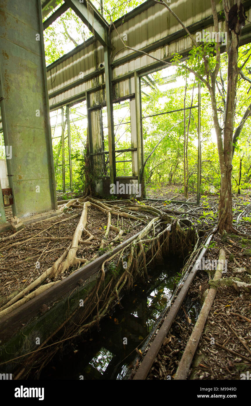 Apoera train station suriname hi-res stock photography and images - Alamy