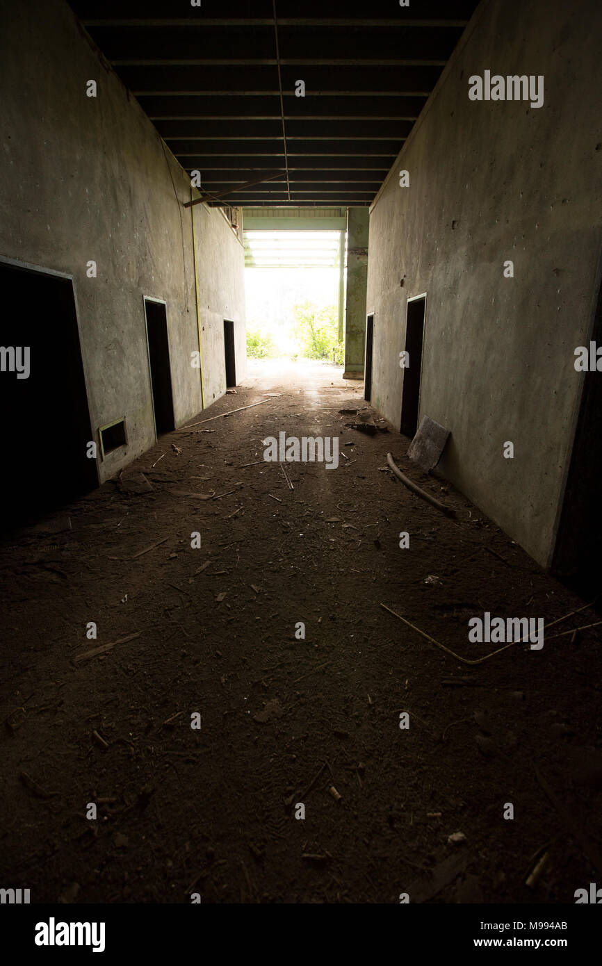 Apoera train station suriname hi-res stock photography and images - Alamy