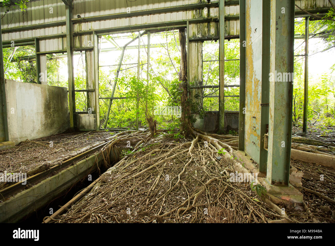 Apoera train station in Suriname, near the Courantayne River which was ...