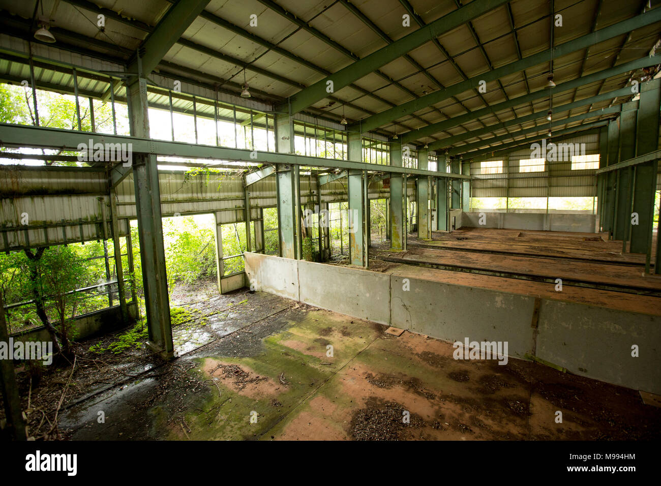 Apoera train station in Suriname, near the Courantayne River which was ...