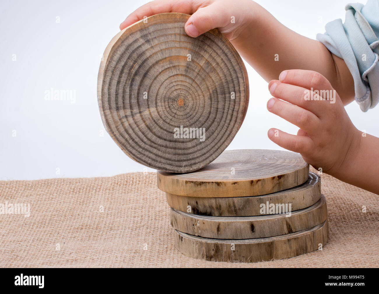 Wood Log cut in round thin pieces in hand Stock Photo - Alamy