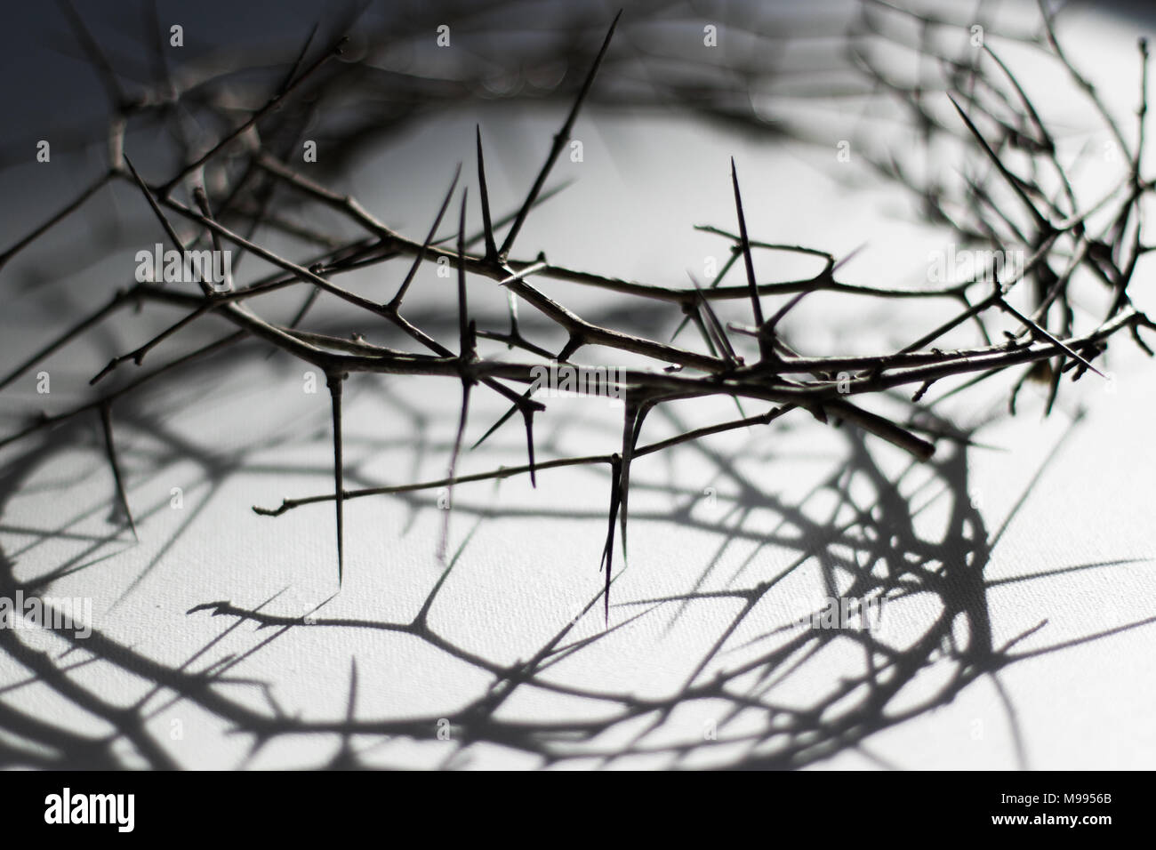 Crown thorns symbol death hi-res stock photography and images - Alamy