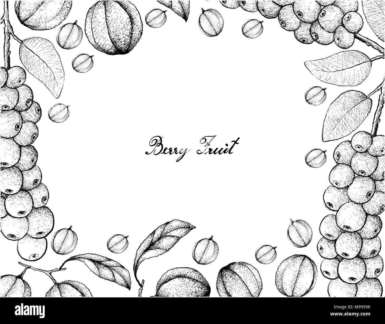 Hylandia dockrillii Stock Vector Images - Alamy