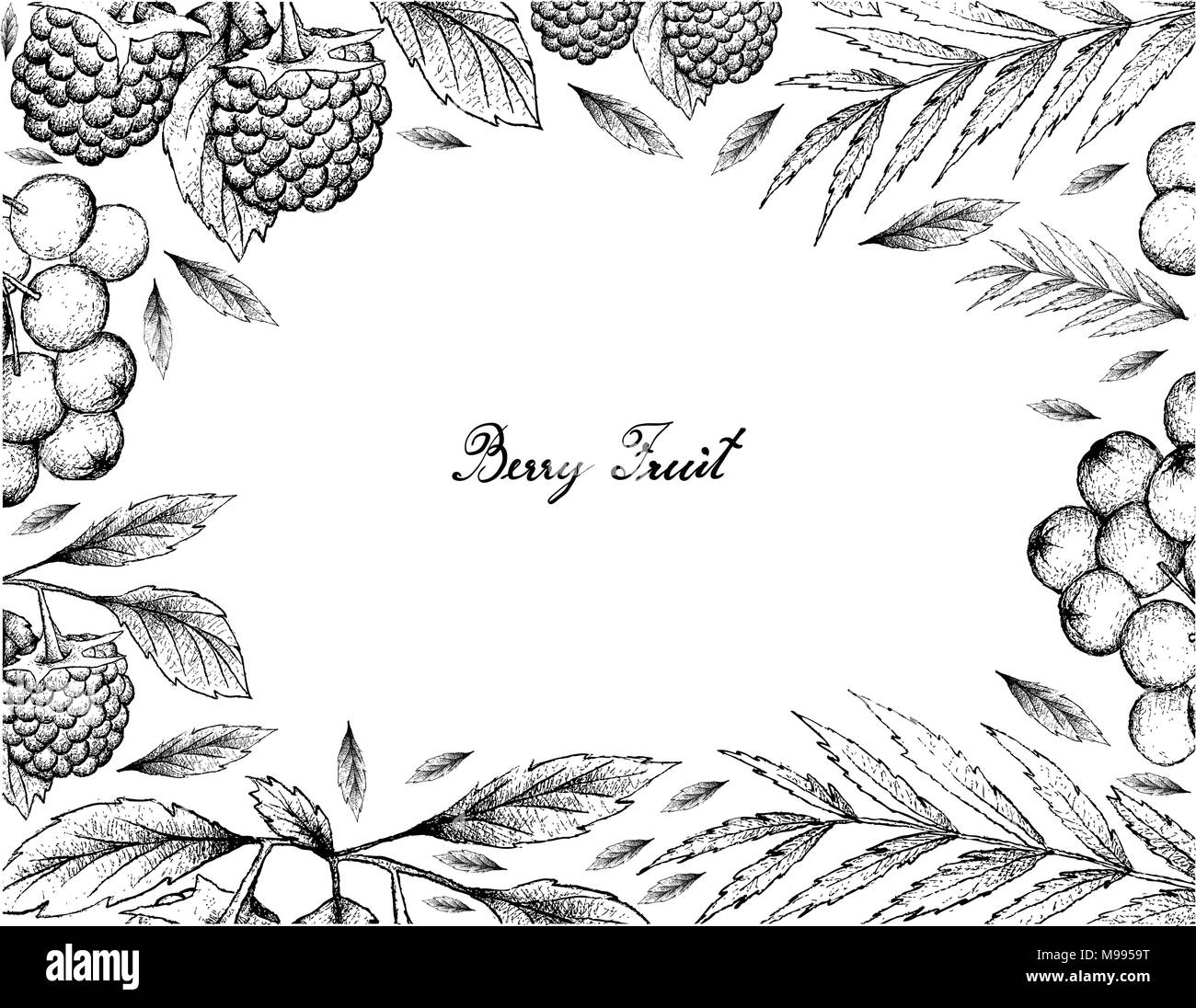 Fruit Border Black And White