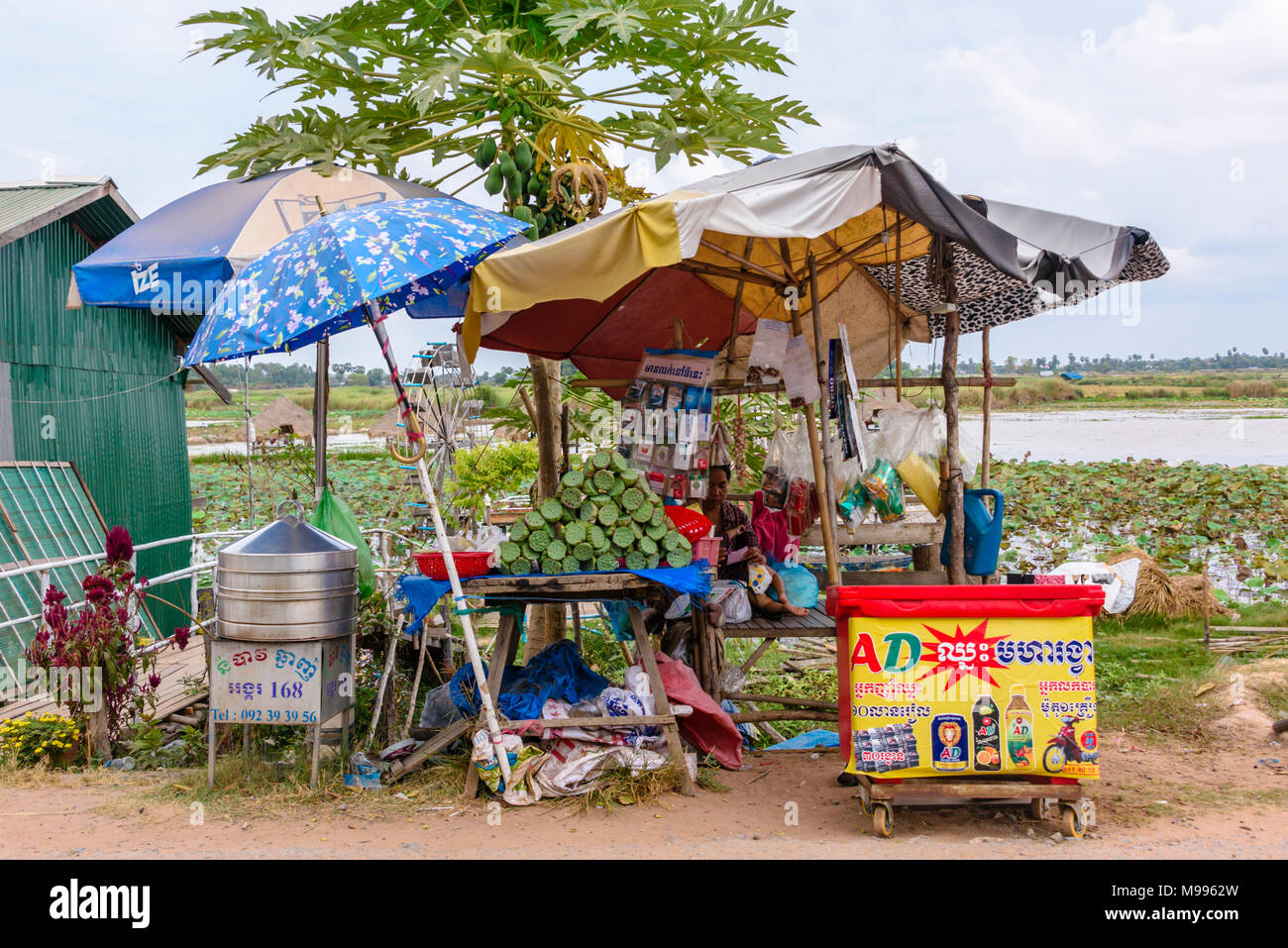 Roadside stall in a rural area of Cambodia Stock Photo - Alamy