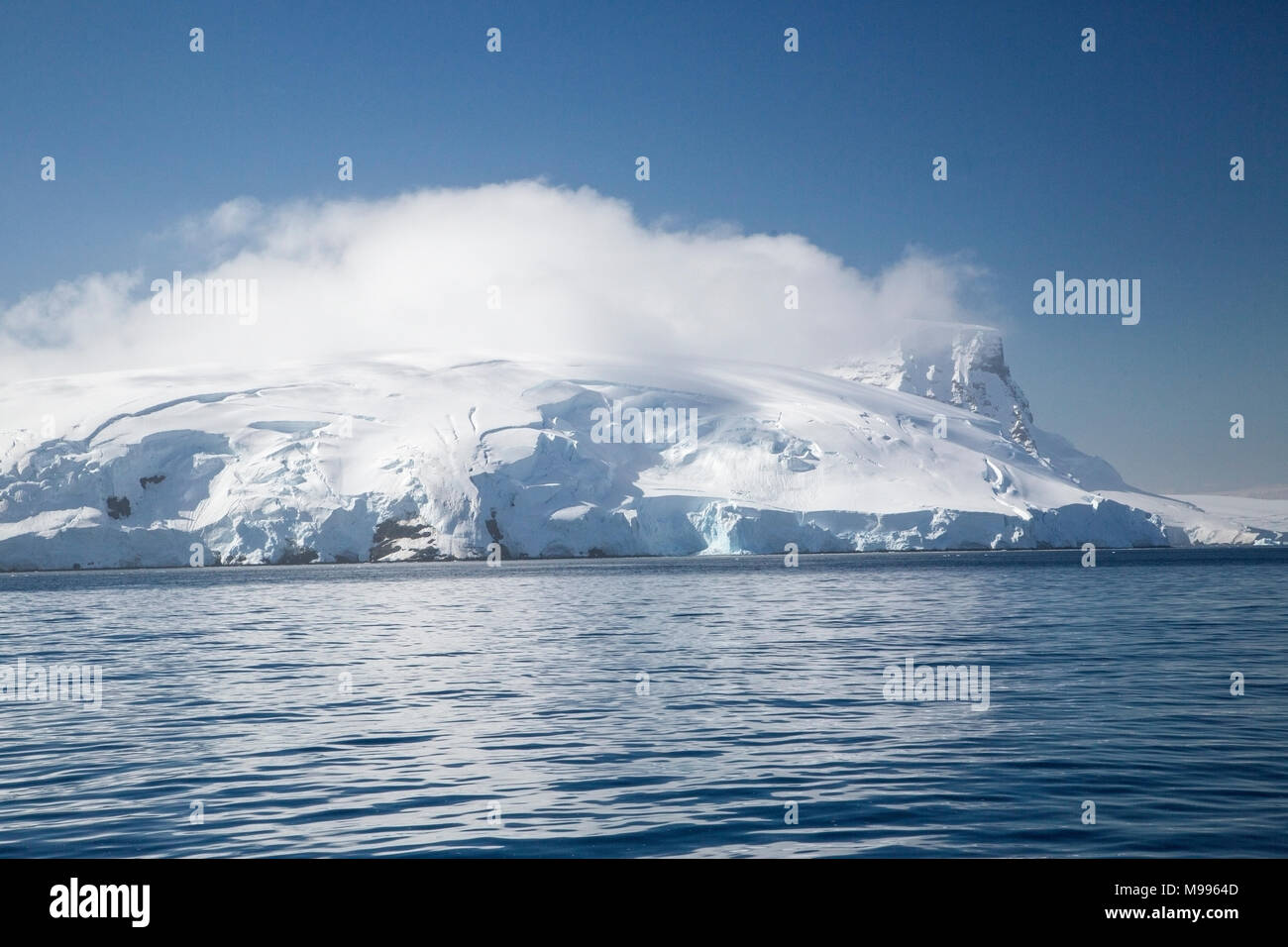Antarctica whale zodiac hi-res stock photography and images - Alamy