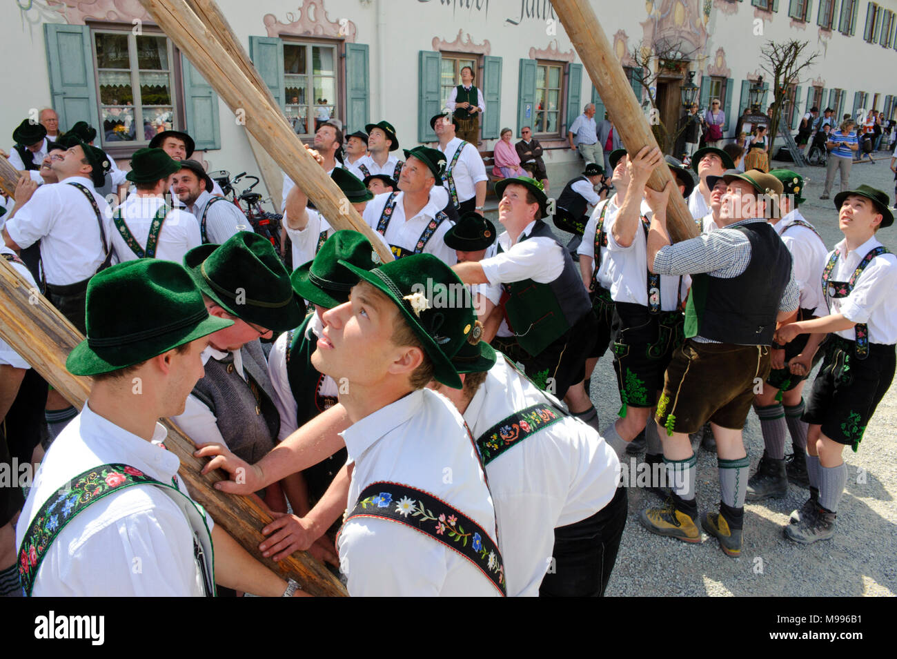 In many villages of Bavaria it is an historical customs to erect a high ...
