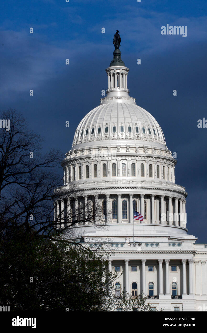 Three branches of government hi-res stock photography and images - Alamy