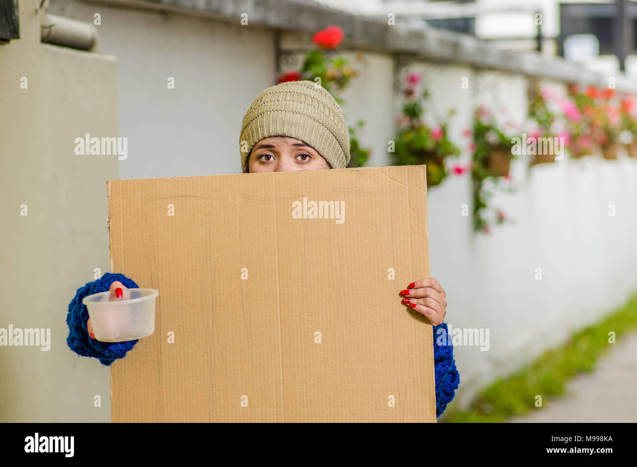 Outdoor view of homeless woman holding up blank cardboard sign Stock ...