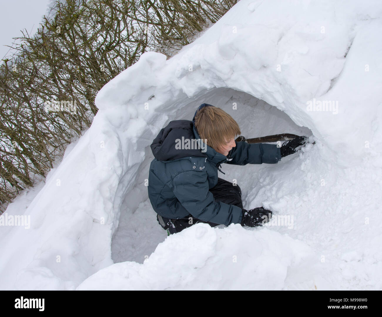 Boy digging snow hole in snow drift Stock Photo - Alamy