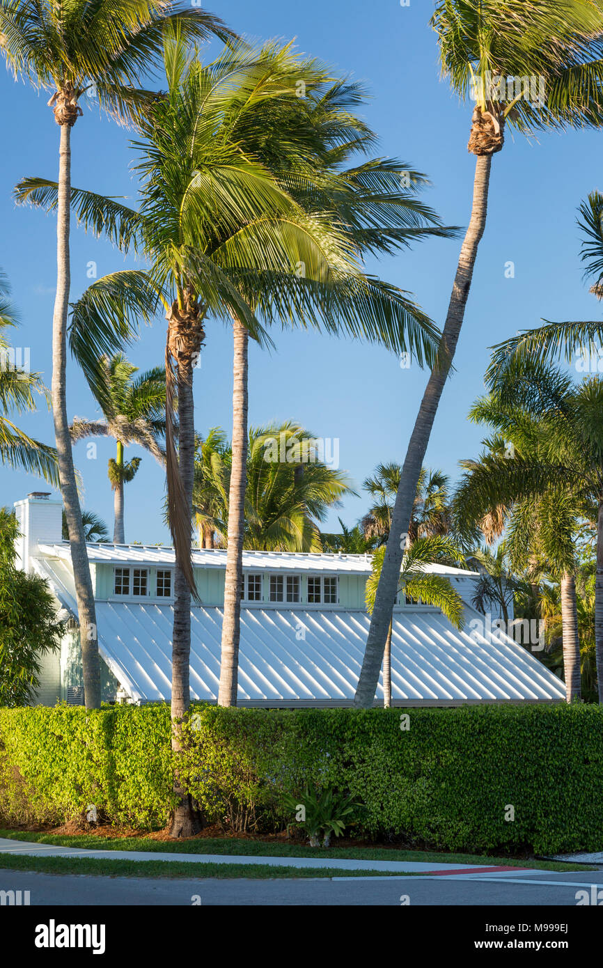 Palm trees surround historic cottage in Naples, Florida, USA Stock ...