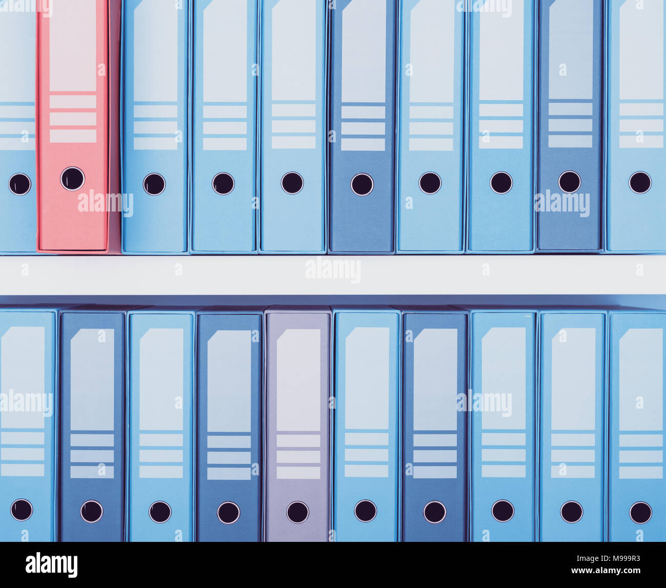 Organized archive with ring binders on a shelf, one is red: archive ...