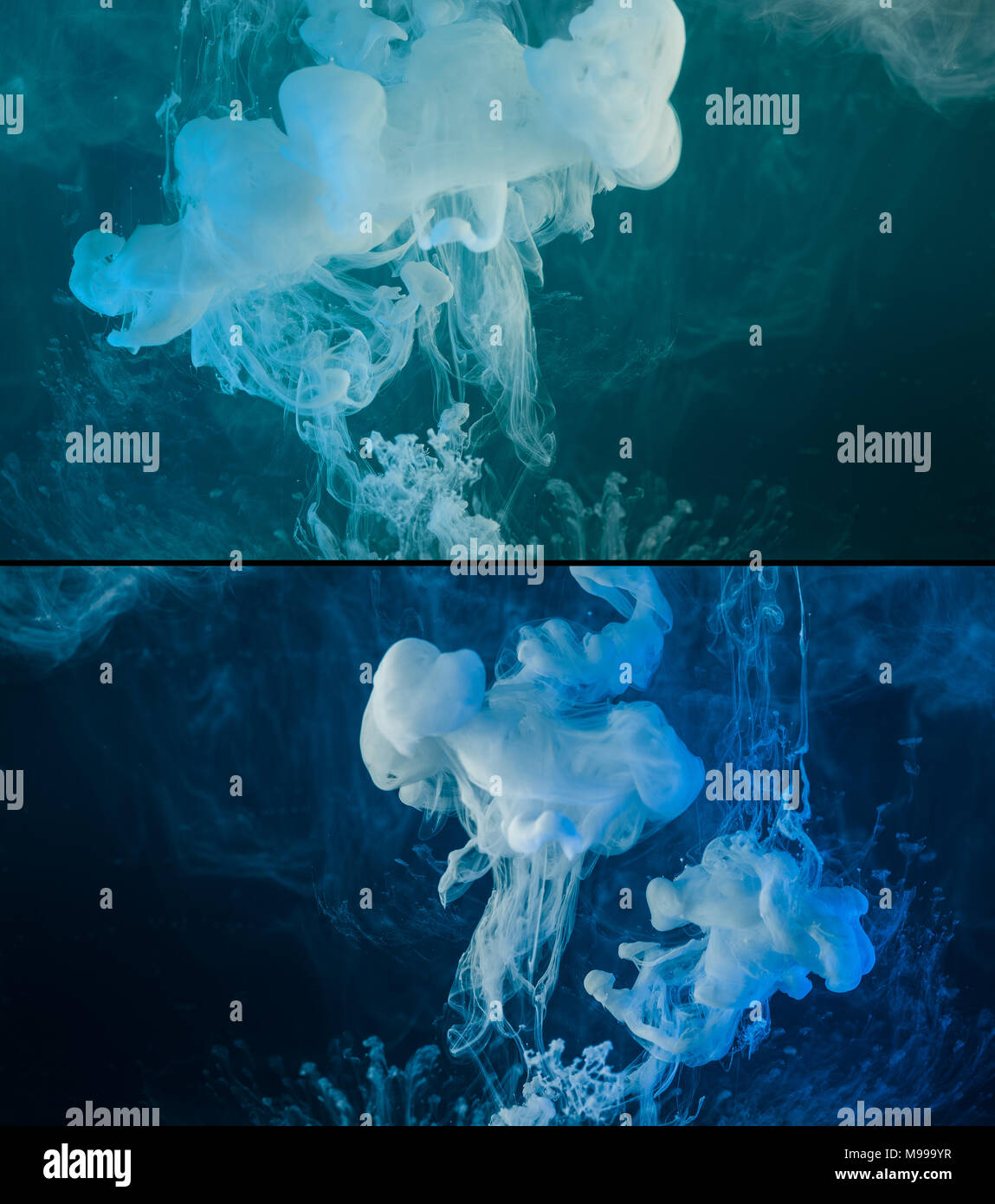 White paint spill flowing in blue water, abstract background, banner ...