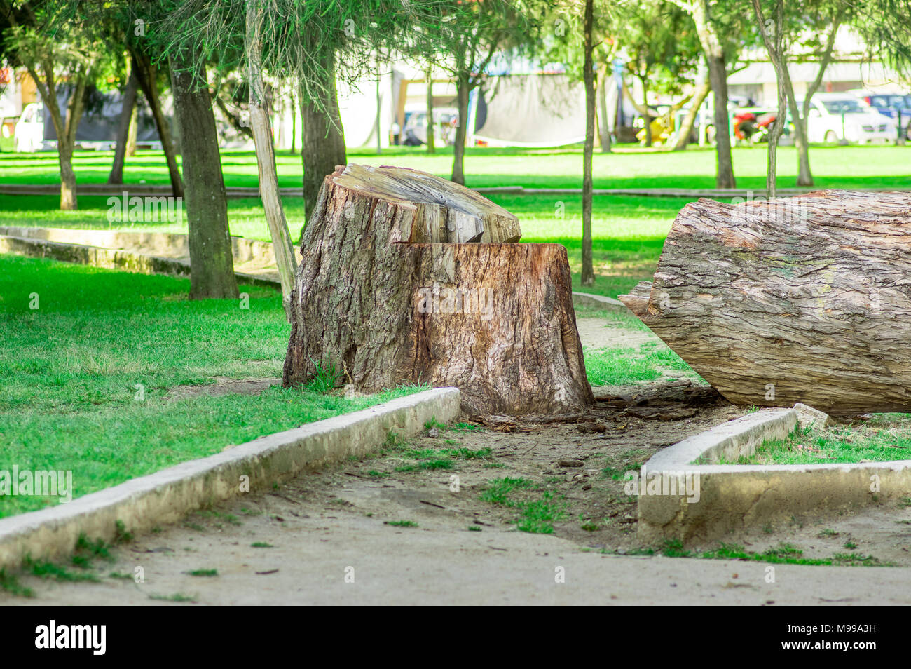 Amazon rainforest climate change hi-res stock photography and images ...