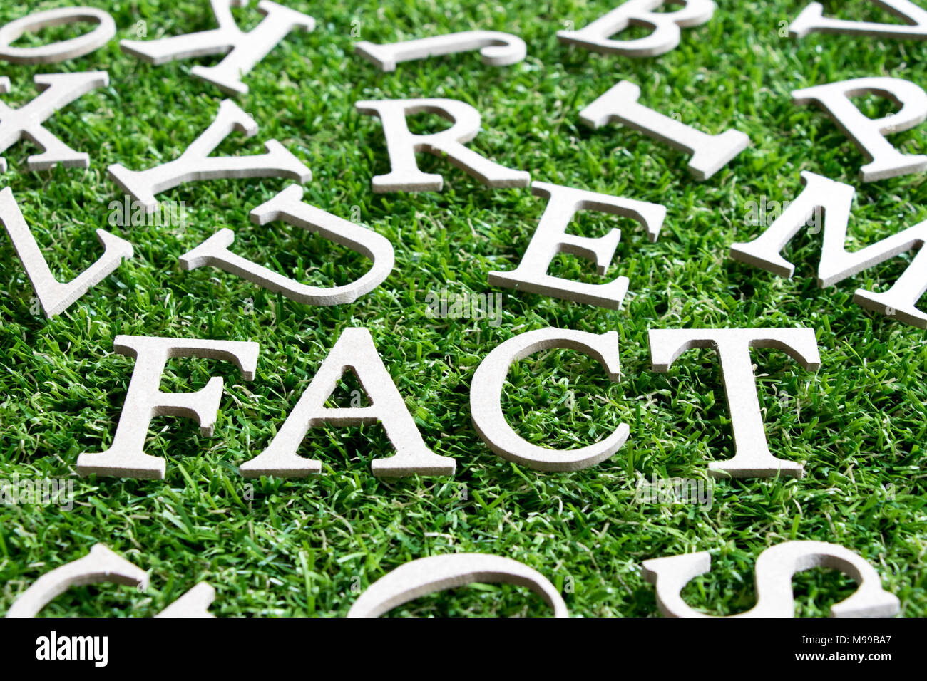 Wood alphabet in wording fact on artificial green grass background ...