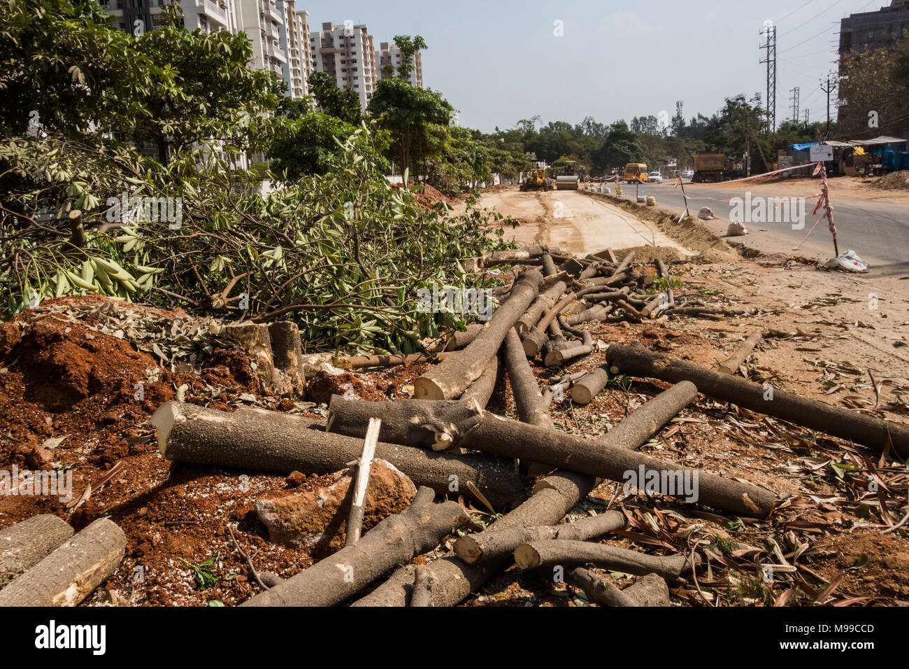 Cutting trees india deforestation hi-res stock photography and images ...