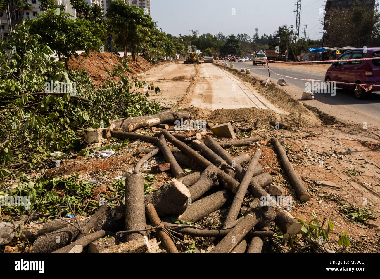 Cutting trees india deforestation hi-res stock photography and images ...