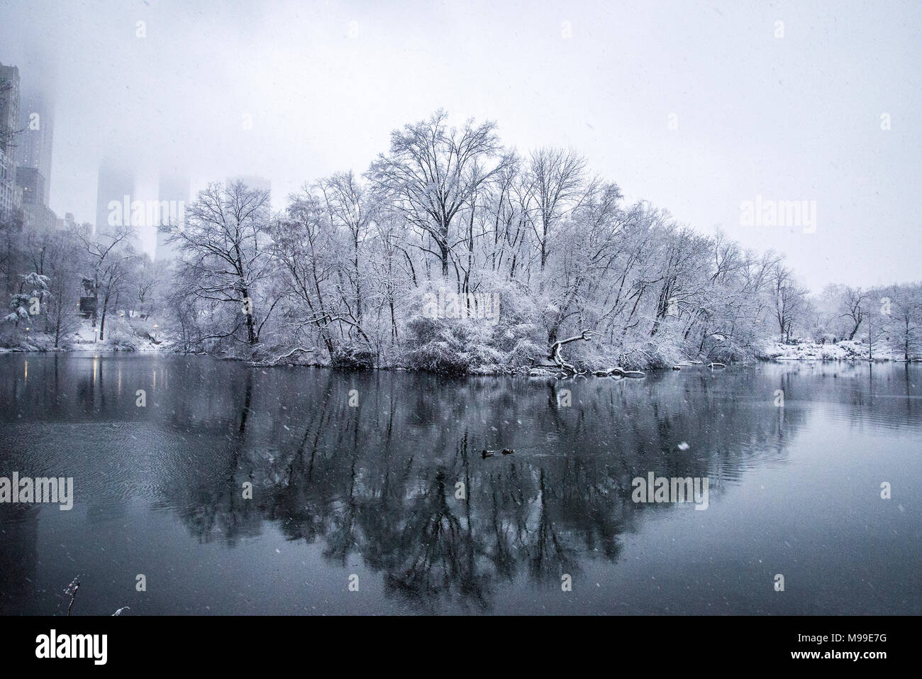 New york central park snow hi-res stock photography and images - Alamy
