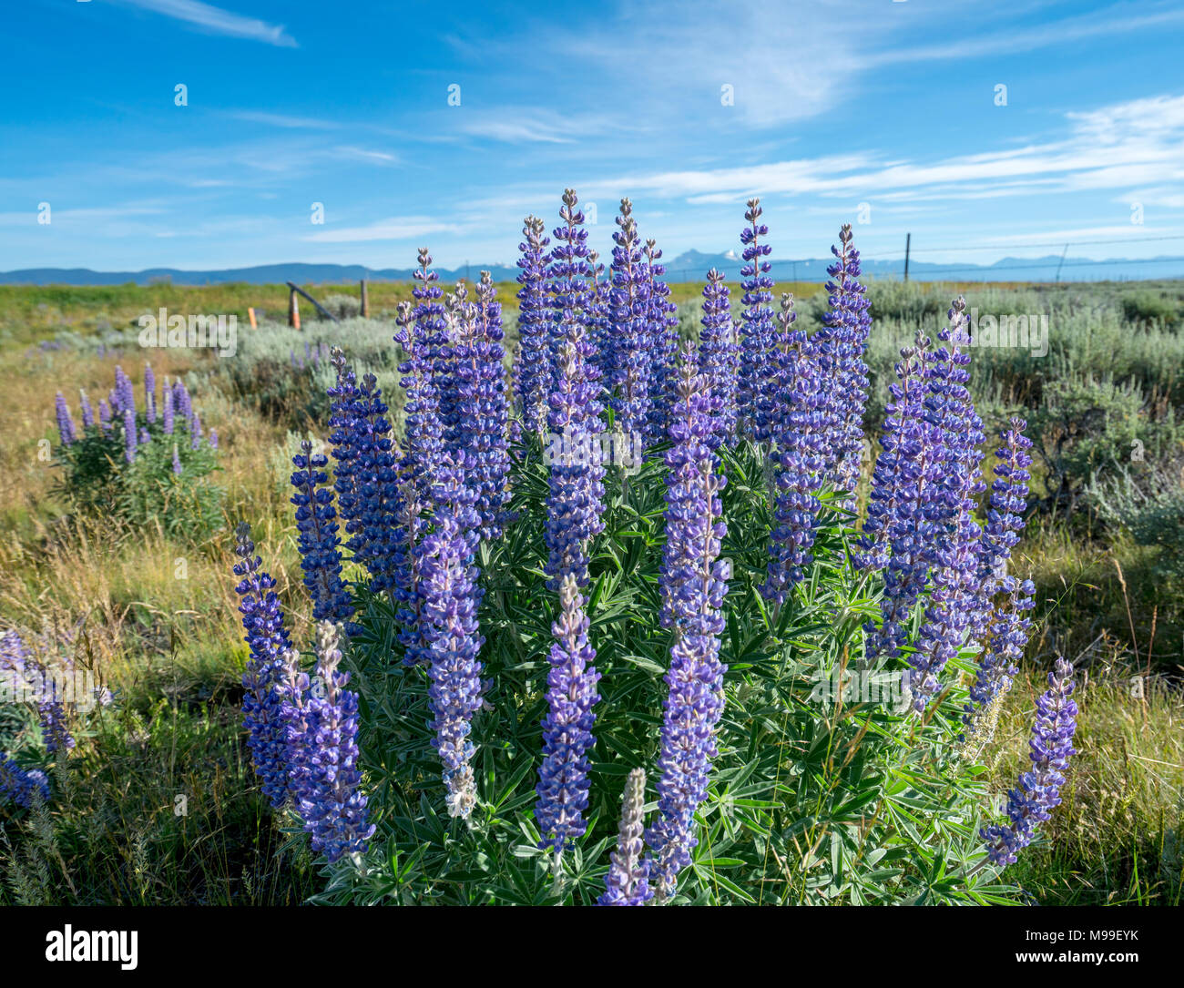Big Hole Valley Stock Photos & Big Hole Valley Stock Images - Alamy