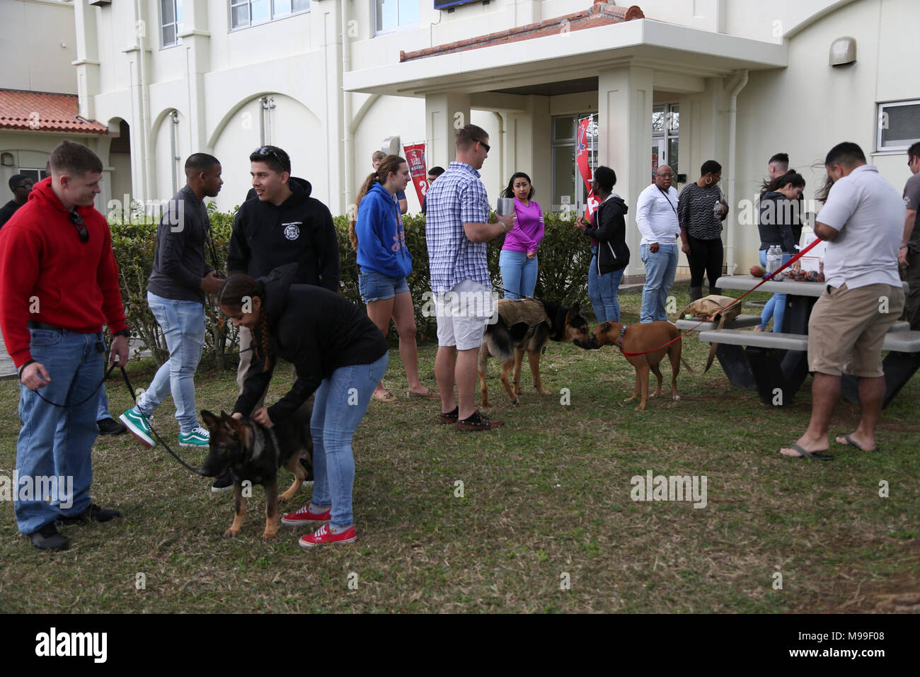 CAMP FOSTER, OKINAWA, Japan – Marines and dogs socialize at the Single ...