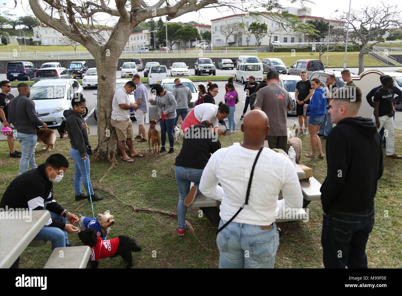 Force fetch hi-res stock photography and images - Alamy