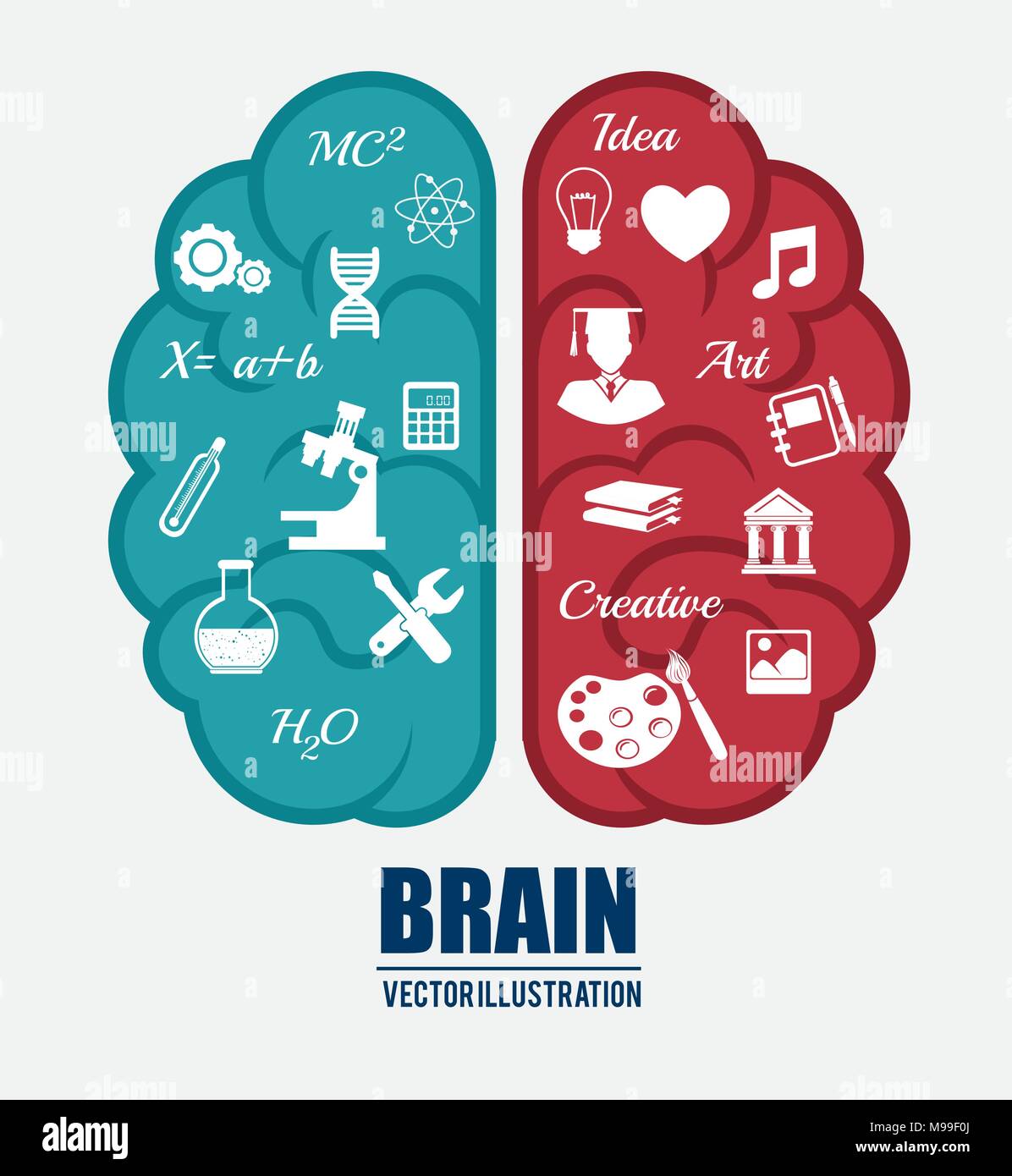 Intelligence of the human brain Stock Vector Image & Art - Alamy