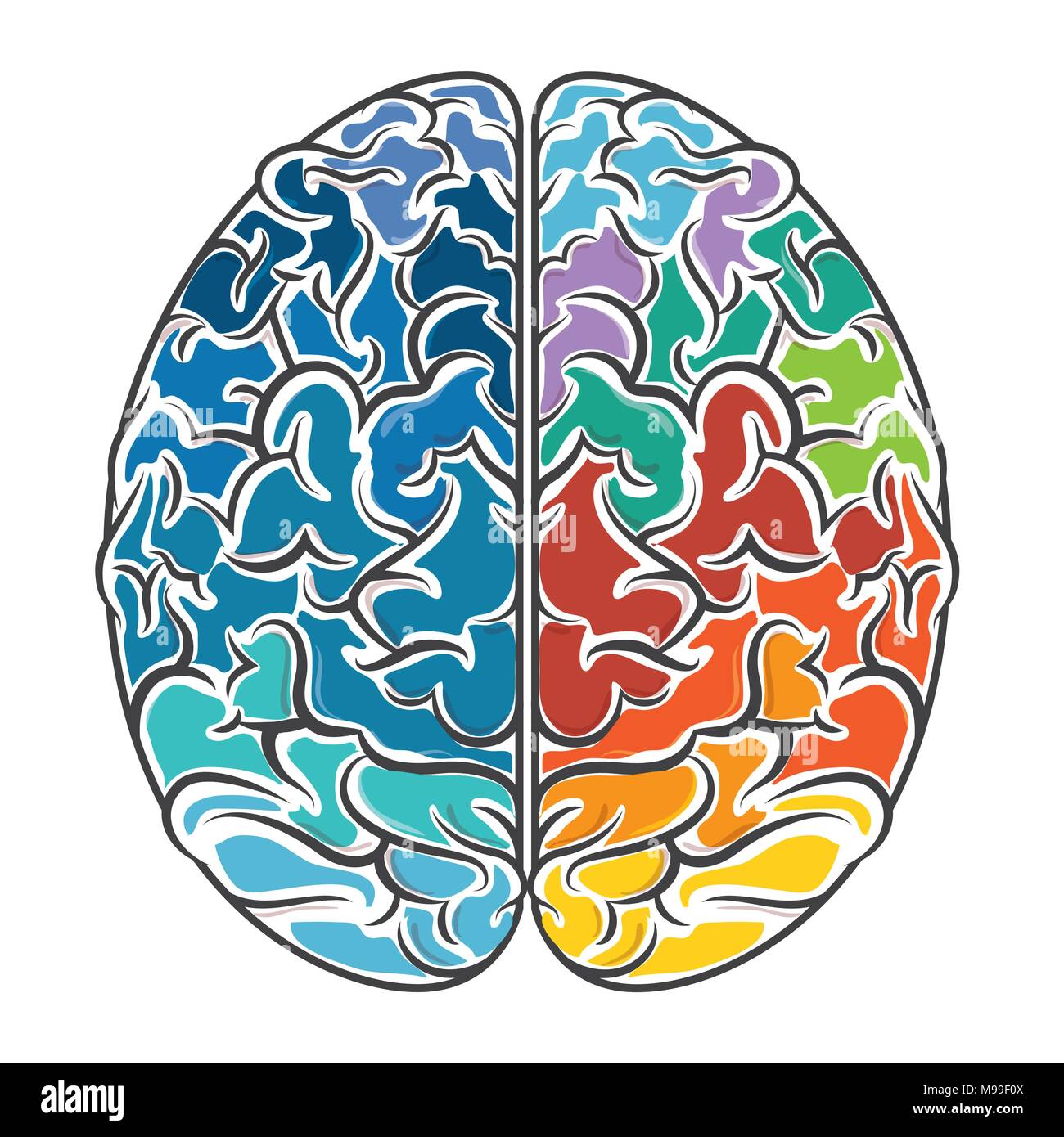 Intelligence of the human brain Stock Vector Image & Art - Alamy