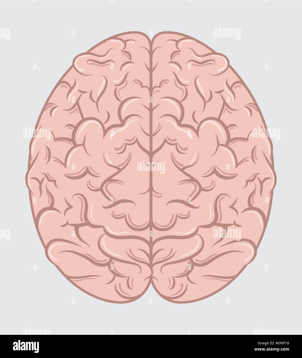Intelligence of the human brain Stock Vector Image & Art - Alamy
