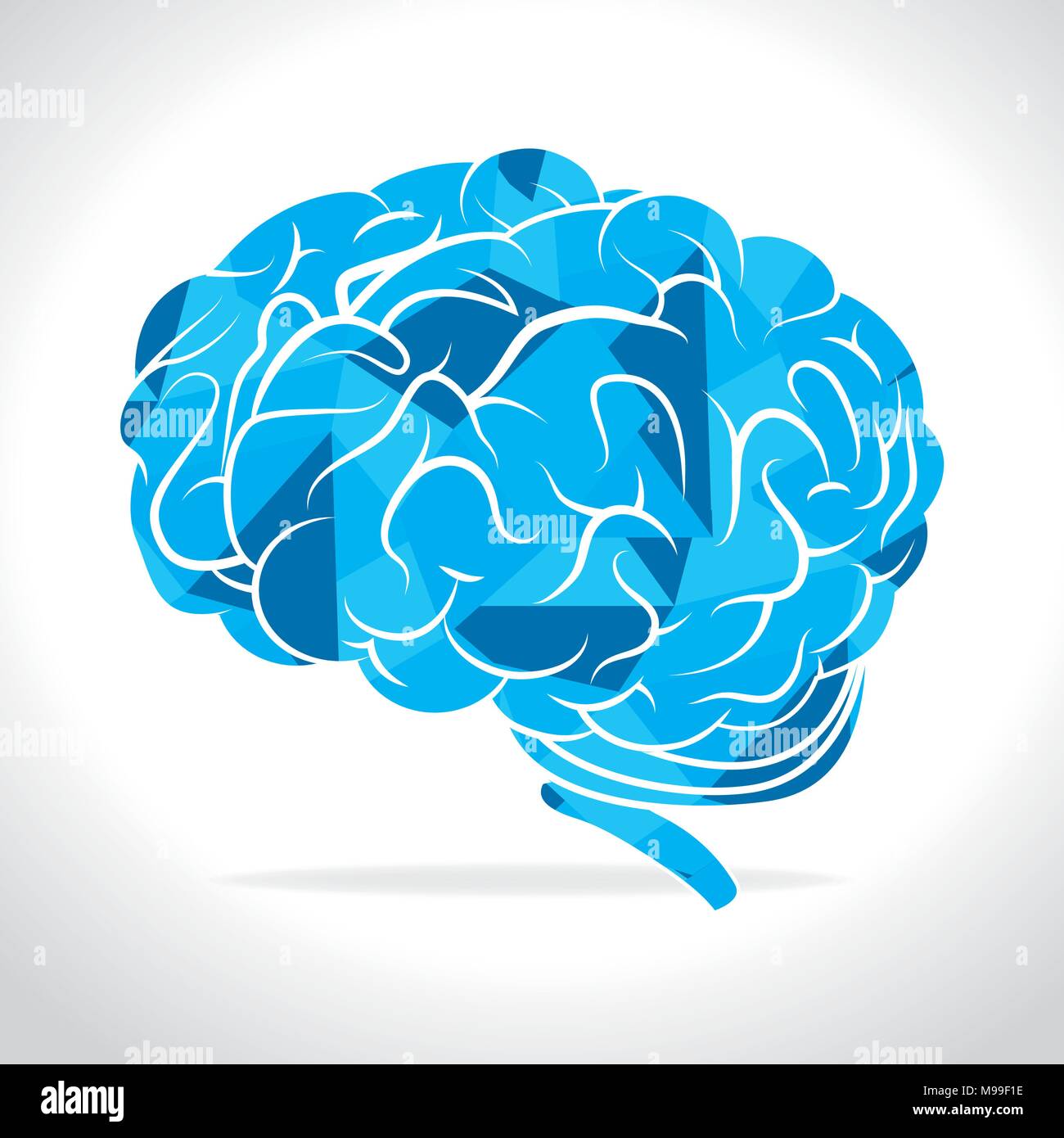 Intelligence of the human brain Stock Vector Image & Art - Alamy