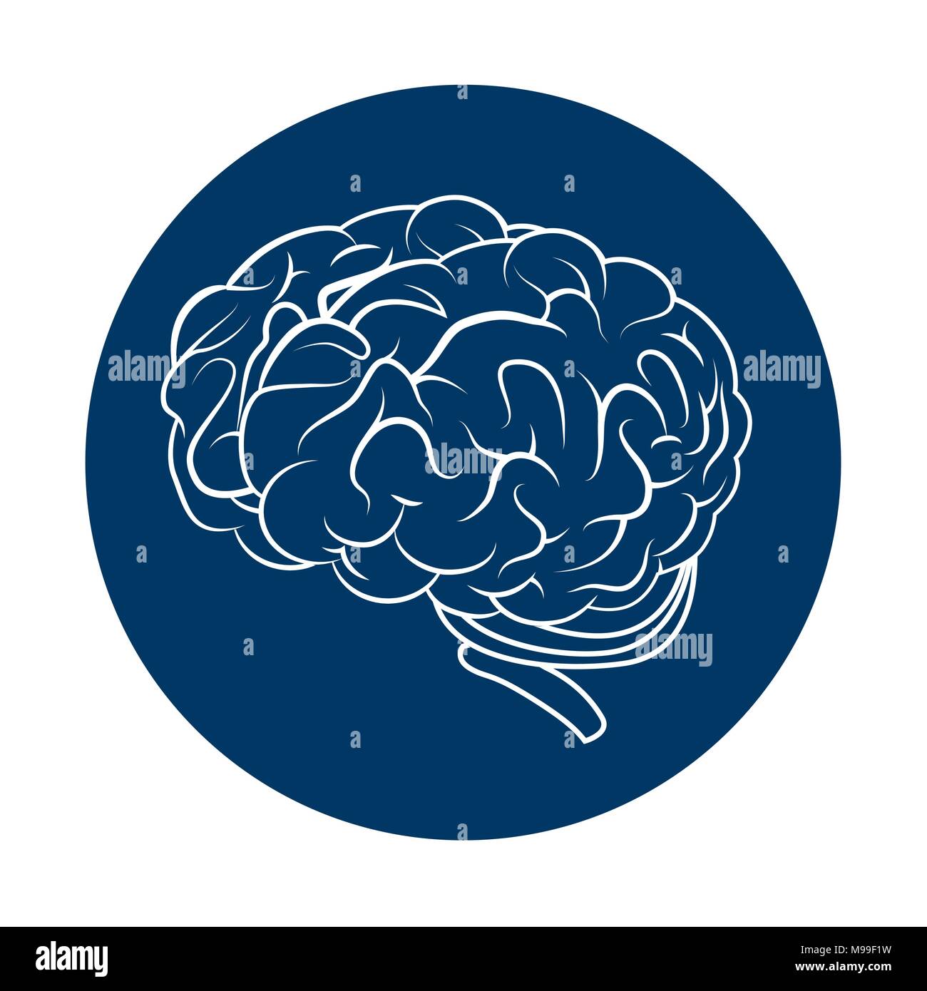 Intelligence of the human brain Stock Vector Image & Art - Alamy