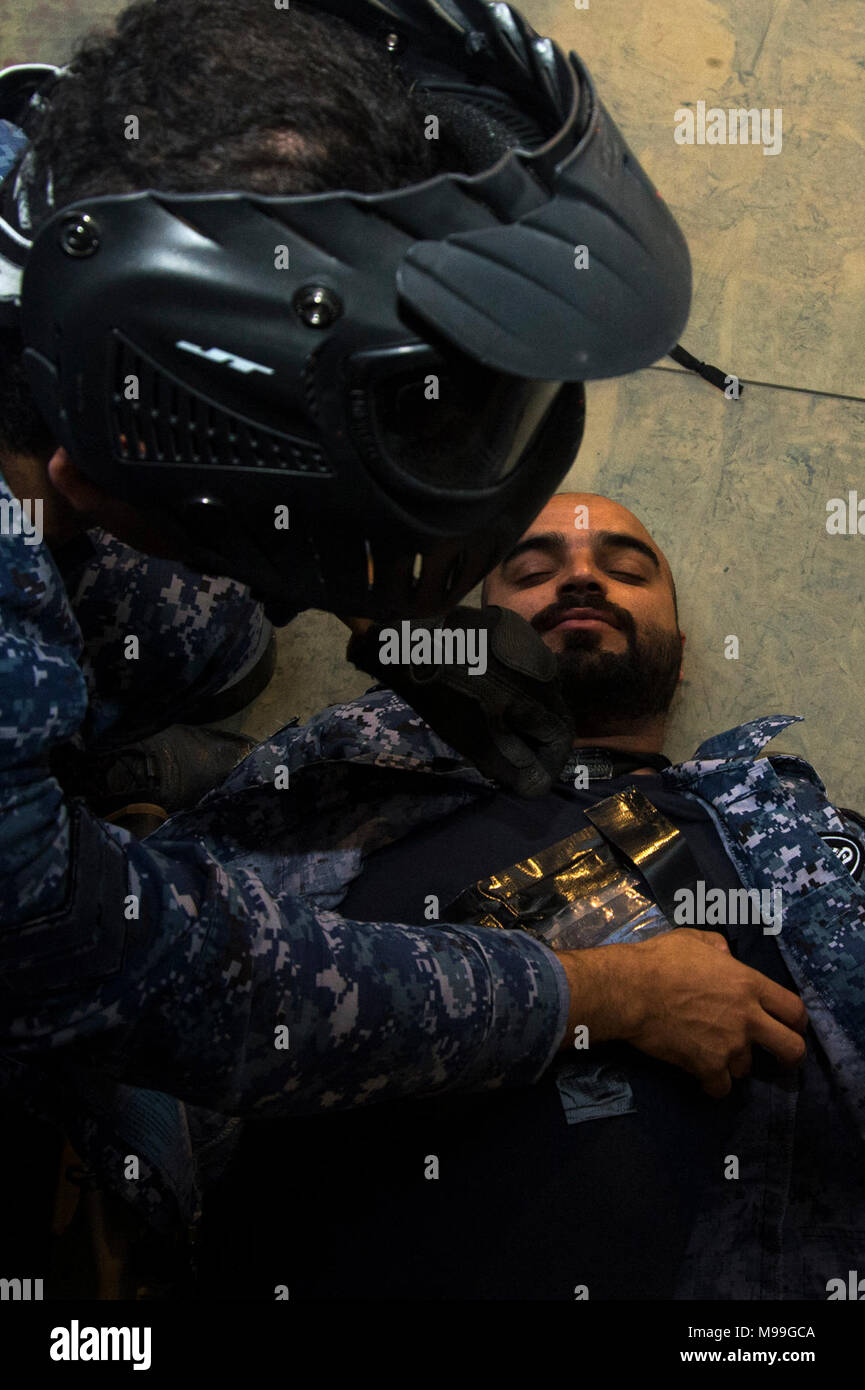 MANAMA, Bahrain (Feb 22, 2018) A Royal Bahrain Naval Force (RBNF ...