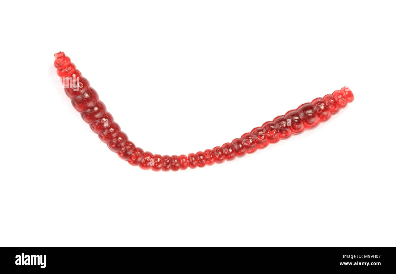 Soft Plastic EarthWorm toy Stock Photo - Alamy