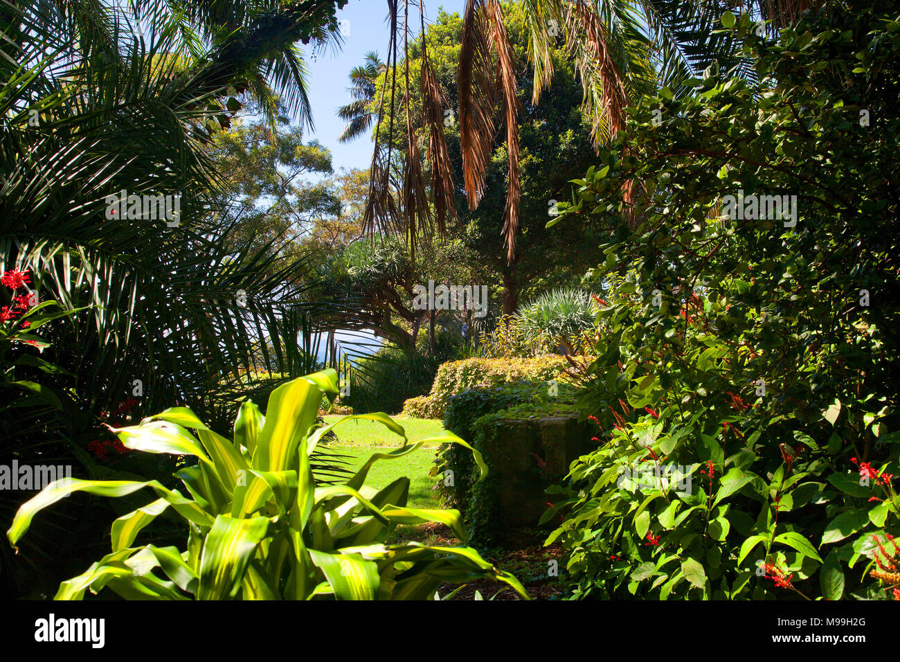 Darlingpoint hi-res stock photography and images - Alamy