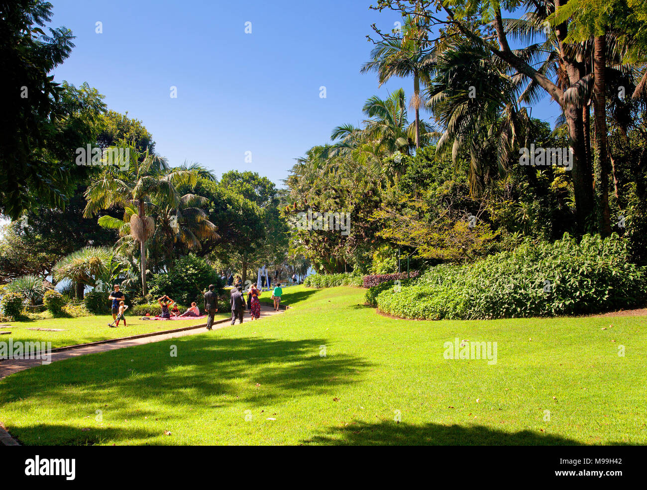 Darling Gardens High Resolution Stock Photography and Images - Alamy
