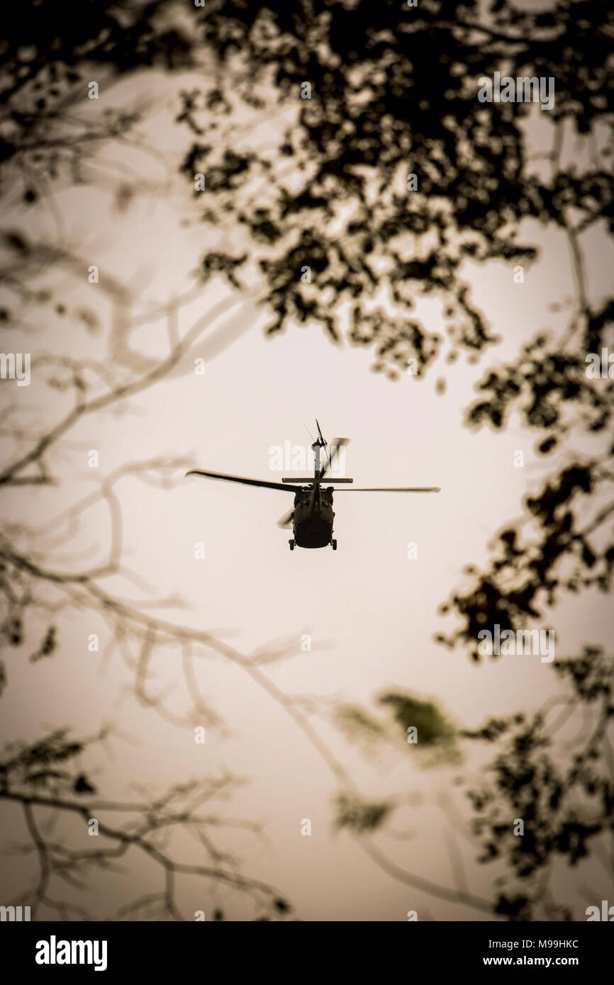 209th aviation support battalion hi-res stock photography and images ...