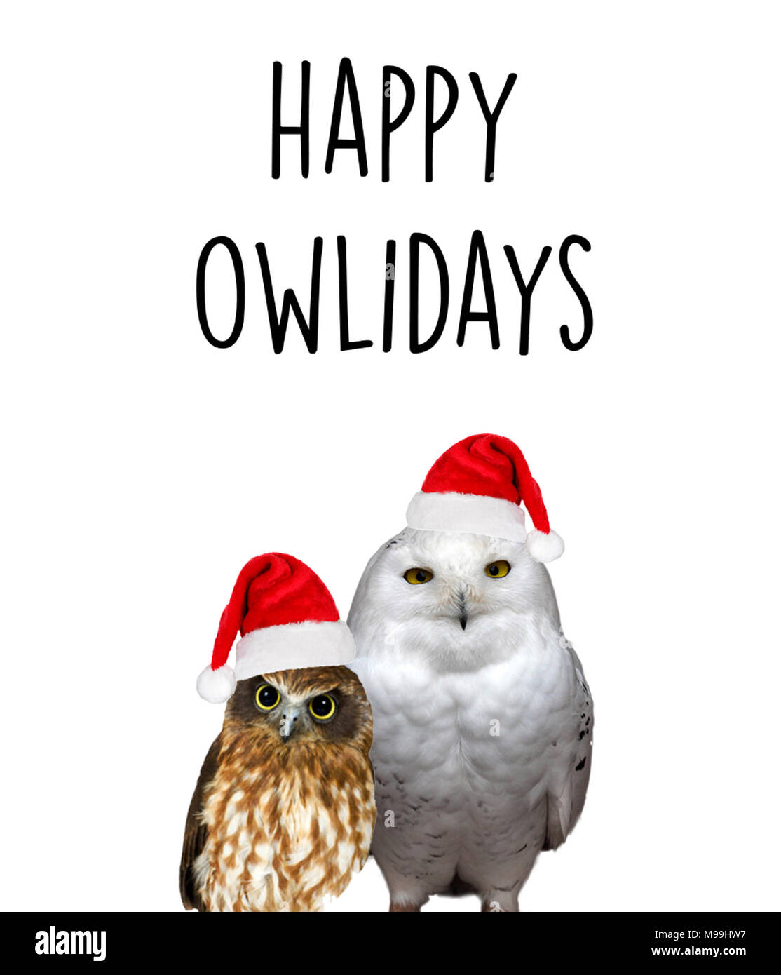 Happy Owlidays