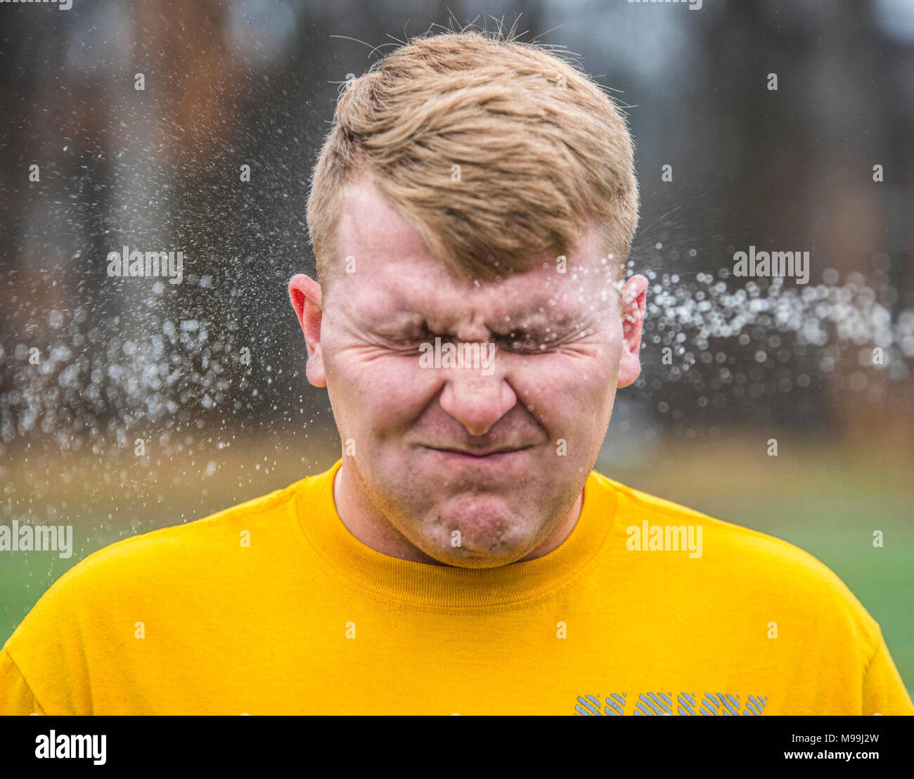 Oleoresin system hi-res stock photography and images - Alamy