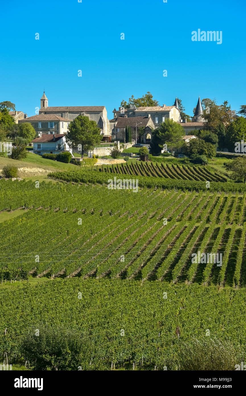Libourne france vineyard hi-res stock photography and images - Alamy
