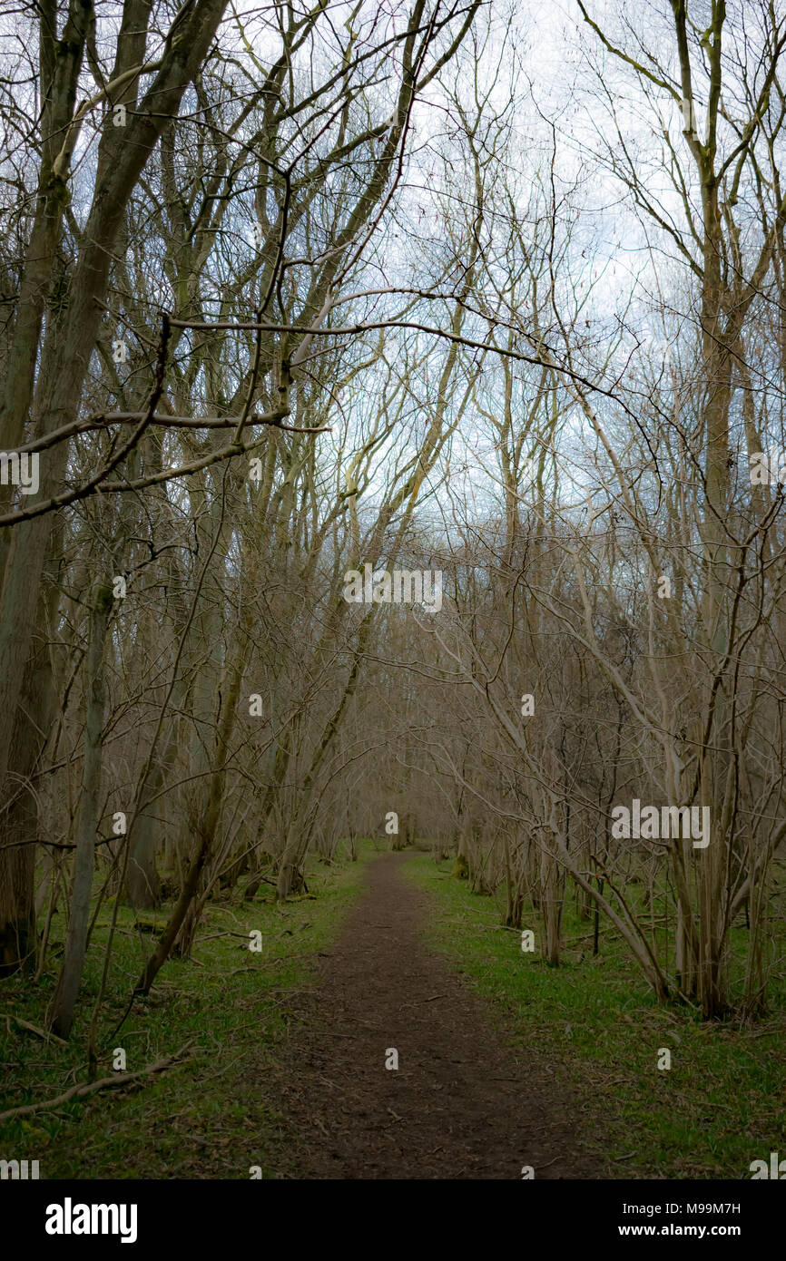 Hoggin path hi-res stock photography and images - Alamy